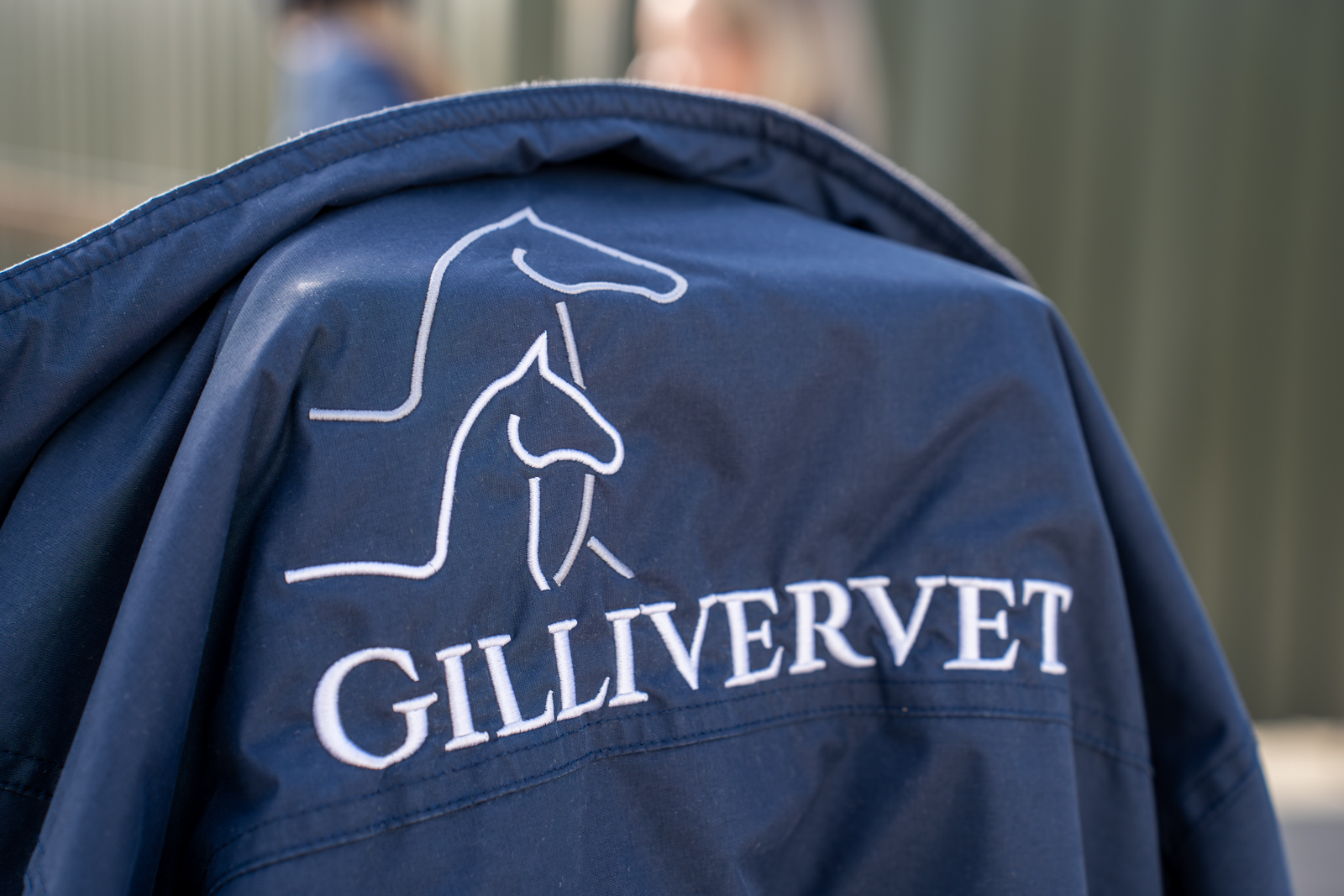 Meet the Team | Gillivervet